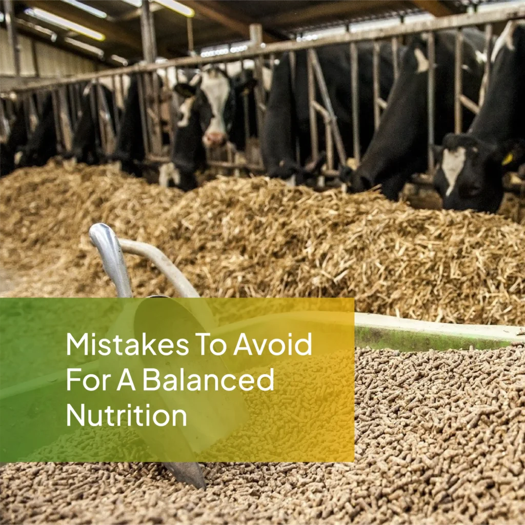 The Science Behind Balanced Animal Nutrition - Green Gold for Natural ...