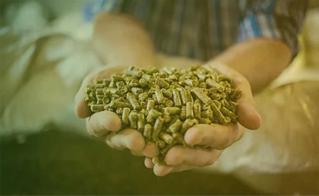 The Science Behind Balanced Animal Nutrition - Green Gold for Natural ...